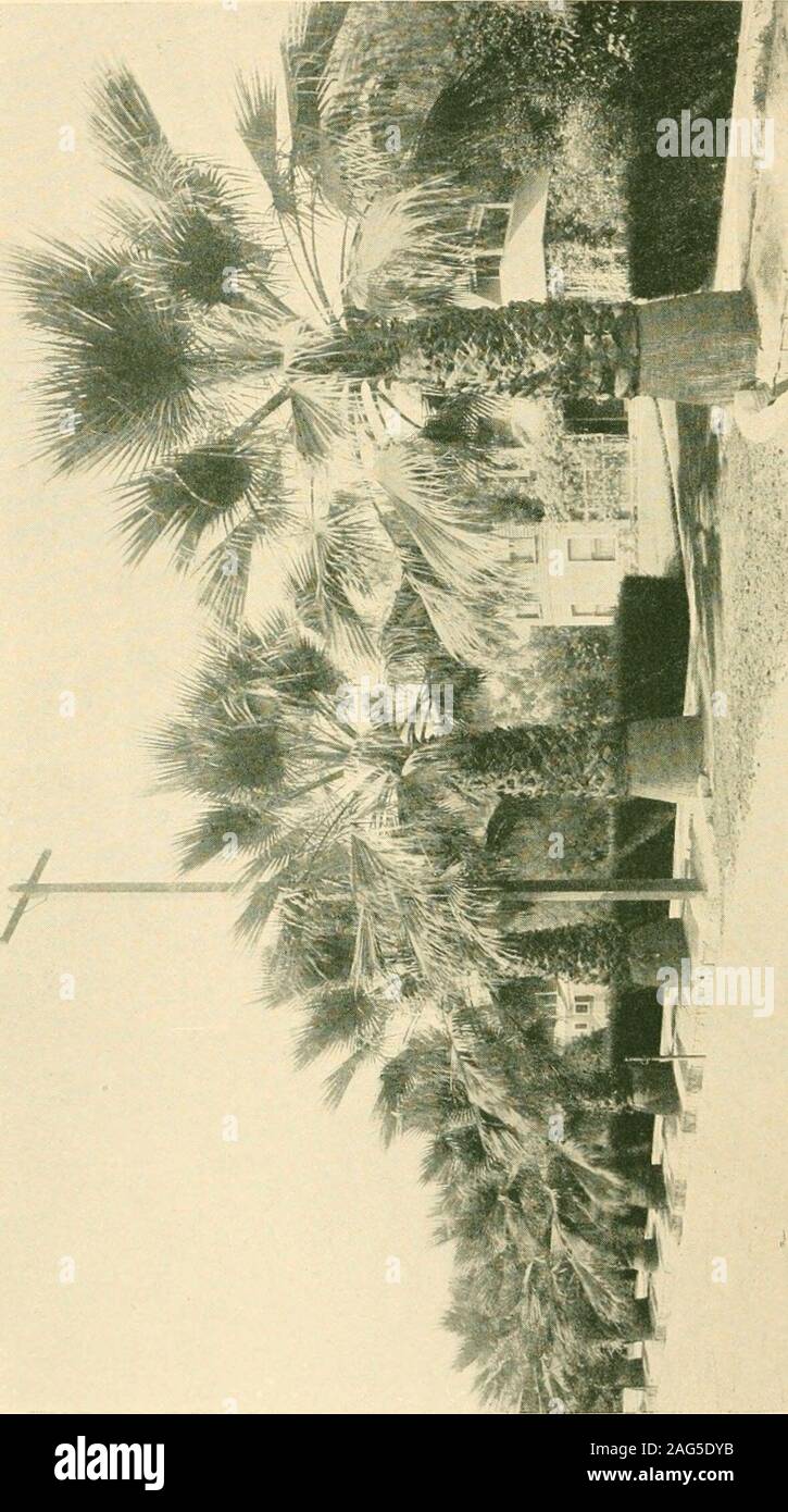 . Redlands. A perfect climate, the finest orange groves in the state ...