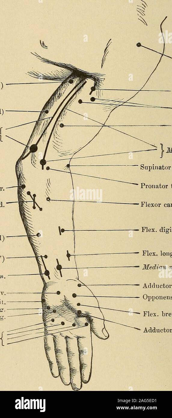 Long extension arm hi-res stock photography and images - Alamy
