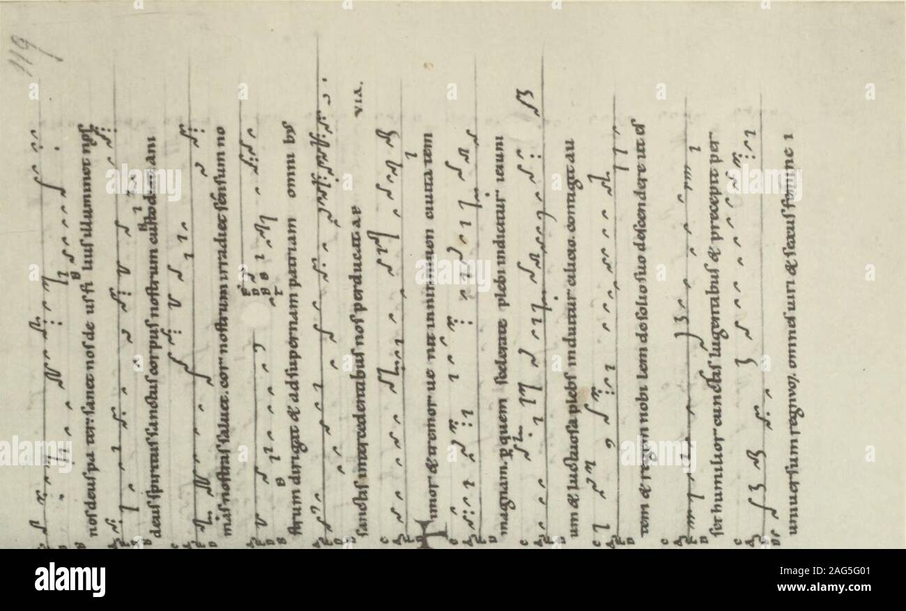 S gallican hi-res stock photography and images - Alamy