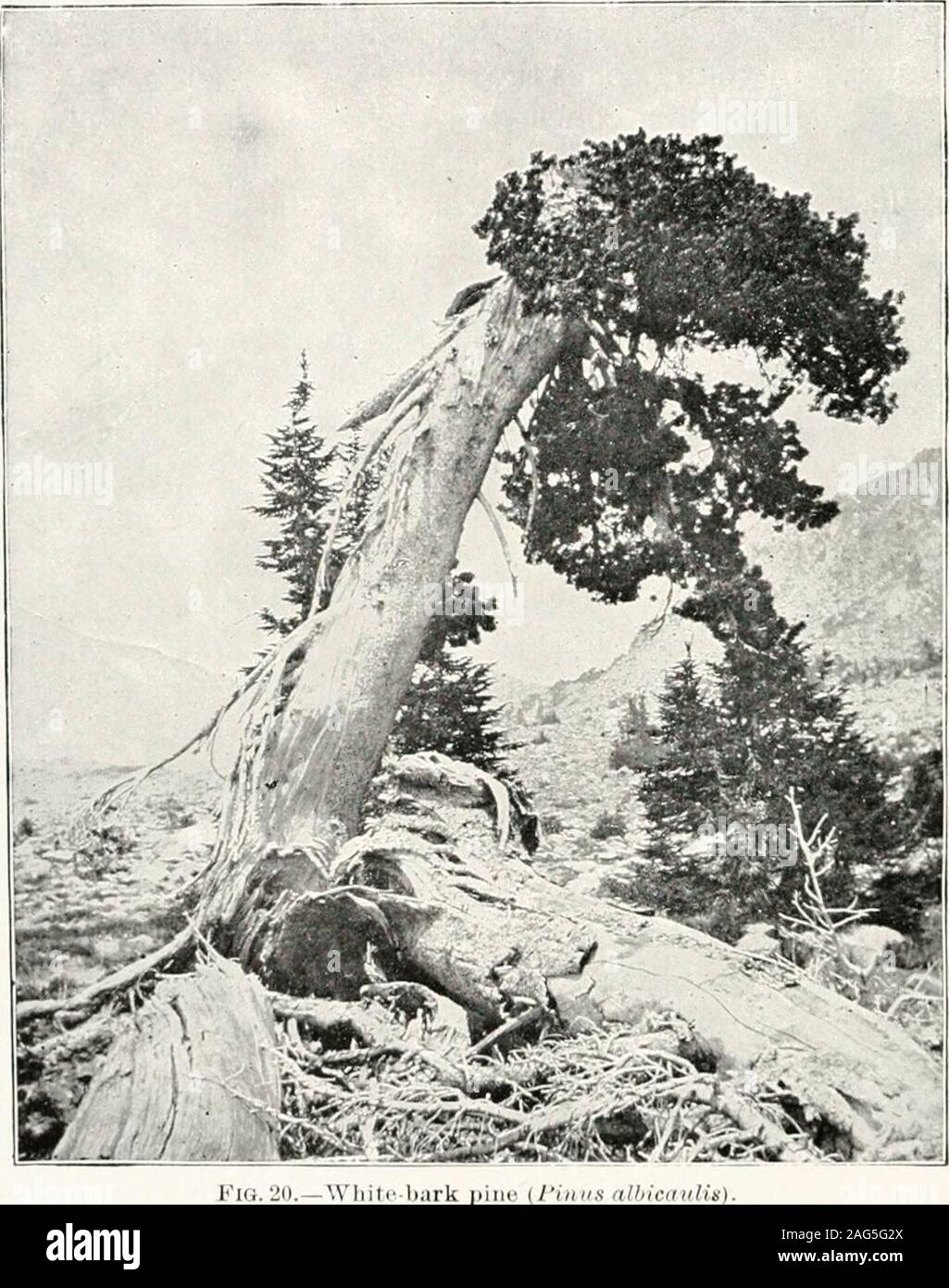 Tensig hi-res stock photography and images - Alamy