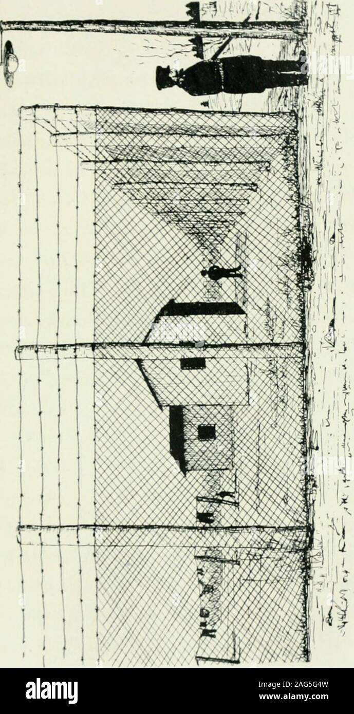 . 13 days, the chronicle of an escape from a German prison. l bridges ...