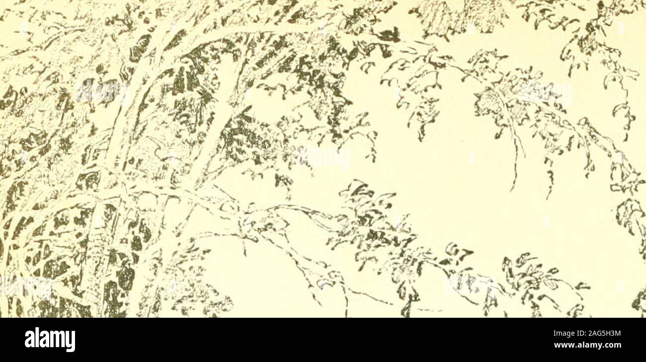 Citv hi-res stock photography and images - Alamy