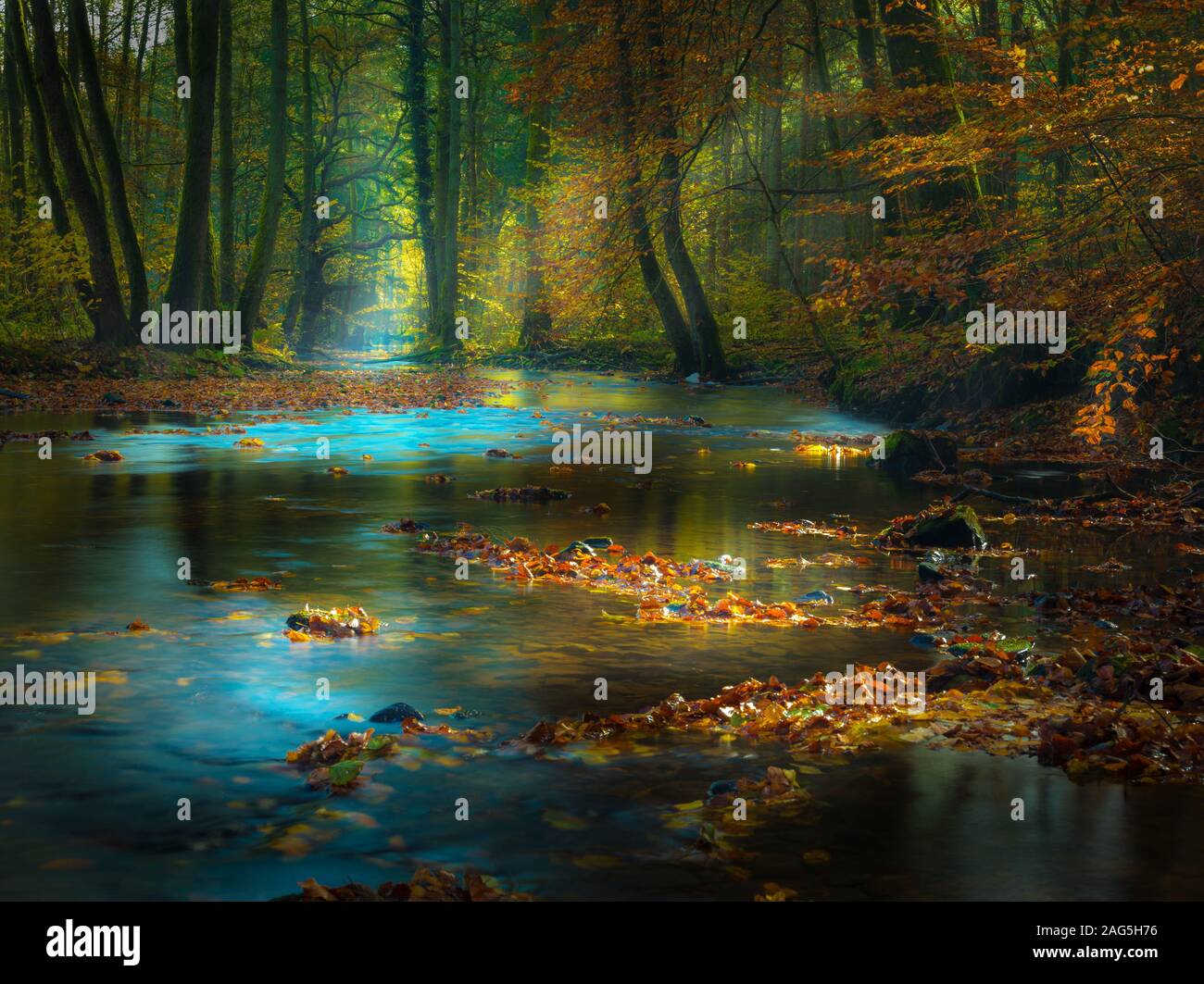 Sun shining through the trees on a beautiful river in the middle of a ...