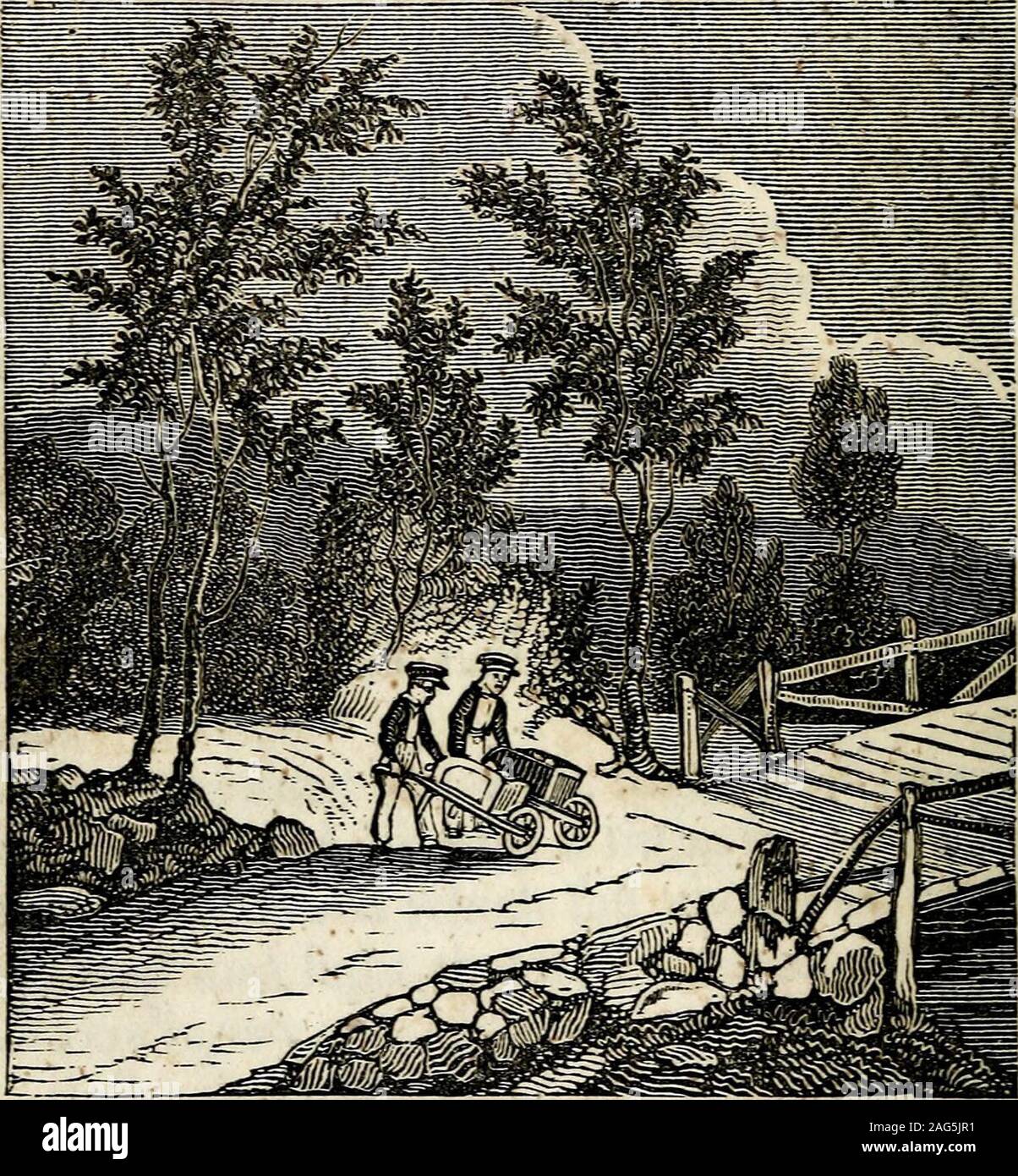 Stepped backwards hi-res stock photography and images - Alamy