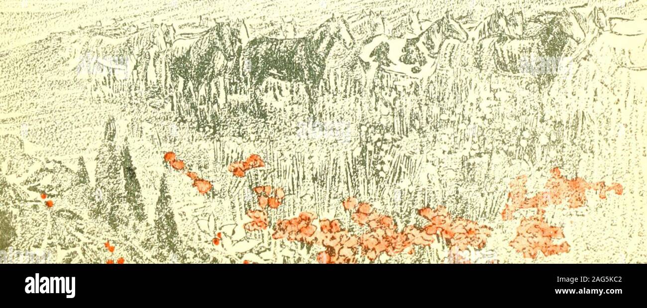 Stratton library hi-res stock photography and images - Alamy