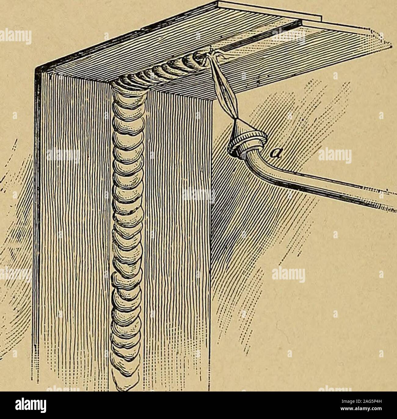 Easy noticeable hi-res stock photography and images - Alamy