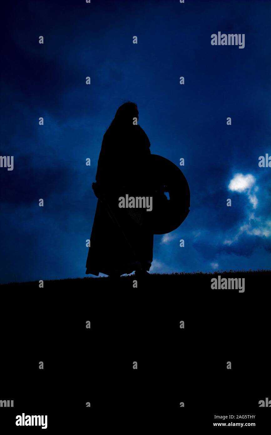 Silhouette of a warrior with a shield standing in the field under the ...