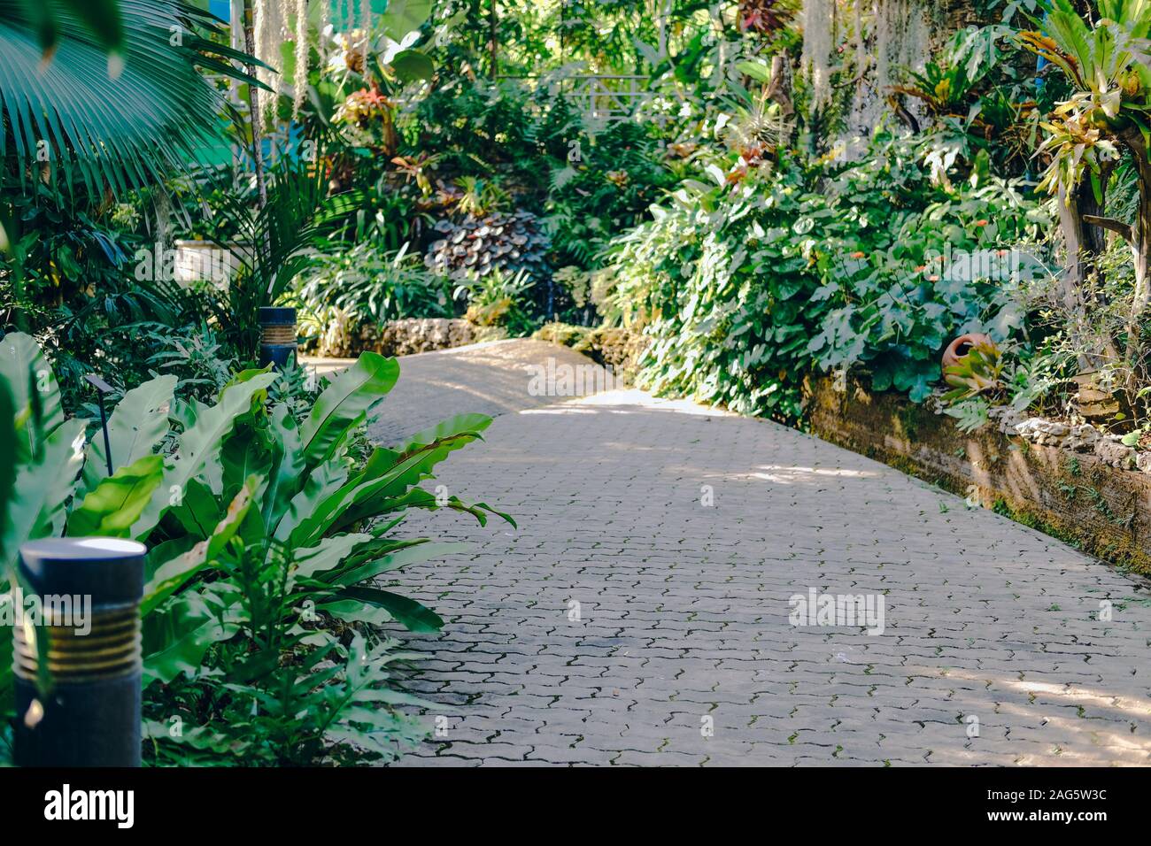 walkway pathway in garden park. tranquil nature scene Stock Photo - Alamy