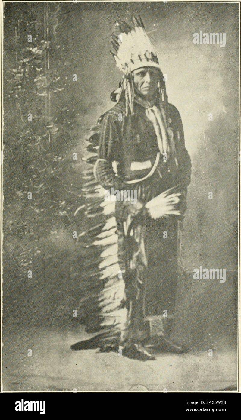 Bulls neck hi-res stock photography and images - Alamy