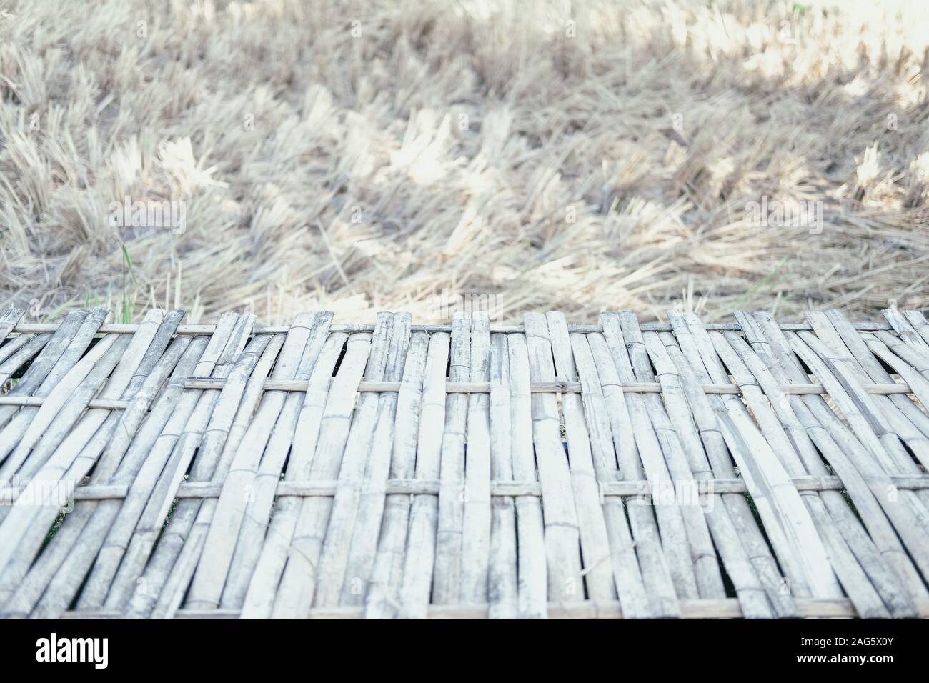 wooden footbridge in rice straw hay paddy field after harvesting Stock ...