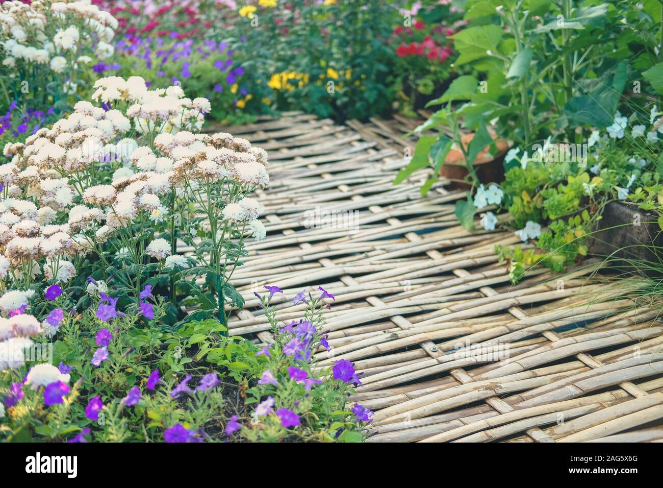 walkway pathway in flower garden park. tranquil nature scene Stock ...