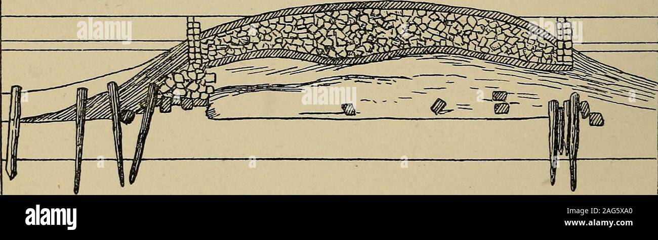 Exposed bog oak ireland hi-res stock photography and images - Alamy