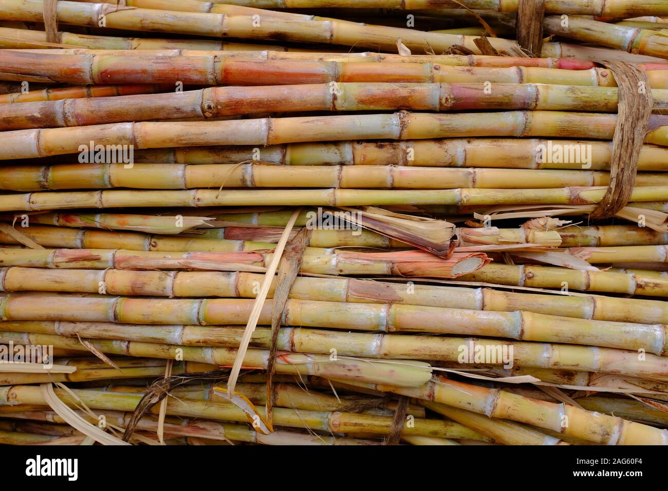Bamboo stacks hi-res stock photography and images - Alamy