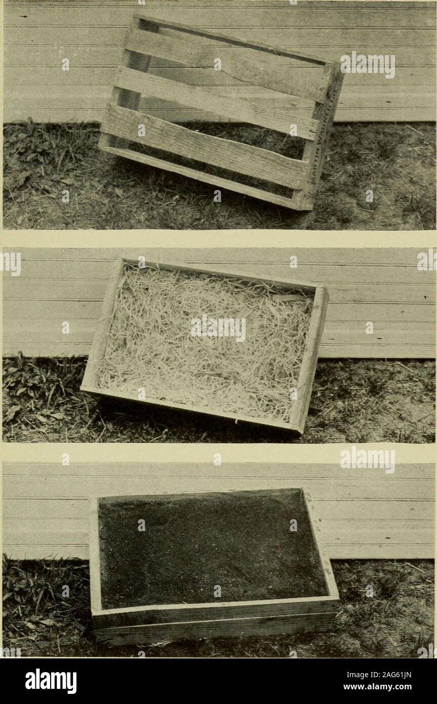 . Gardening indoors and under glass; a practical guide to the planting ...