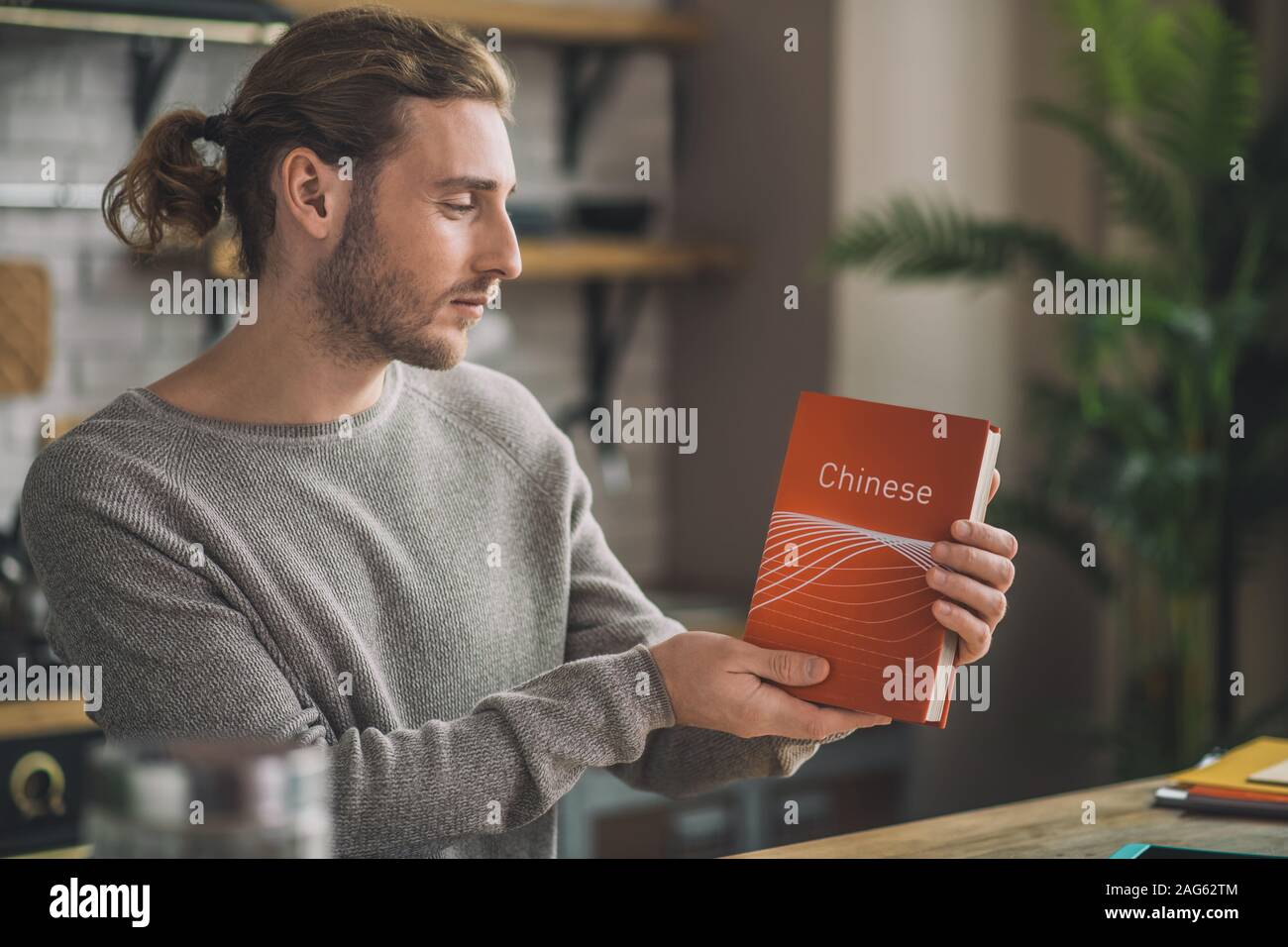 Chinese lesson. Young handsome man studying Chinese at home Stock Photo ...