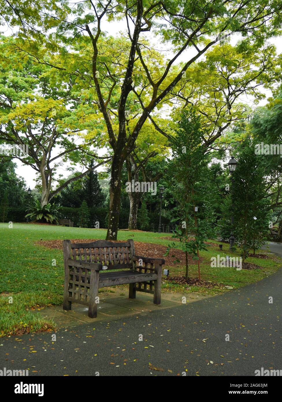 Tree and Bench Stock Photo - Alamy