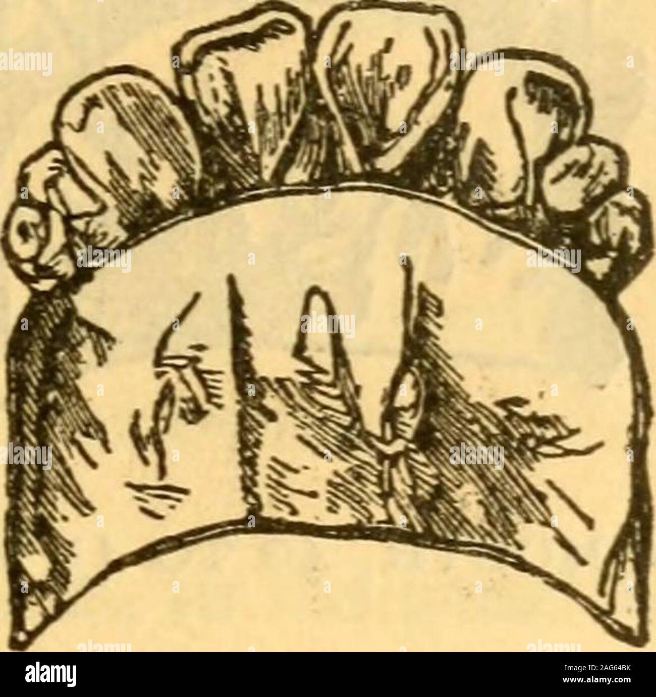 Four molar hi-res stock photography and images - Alamy