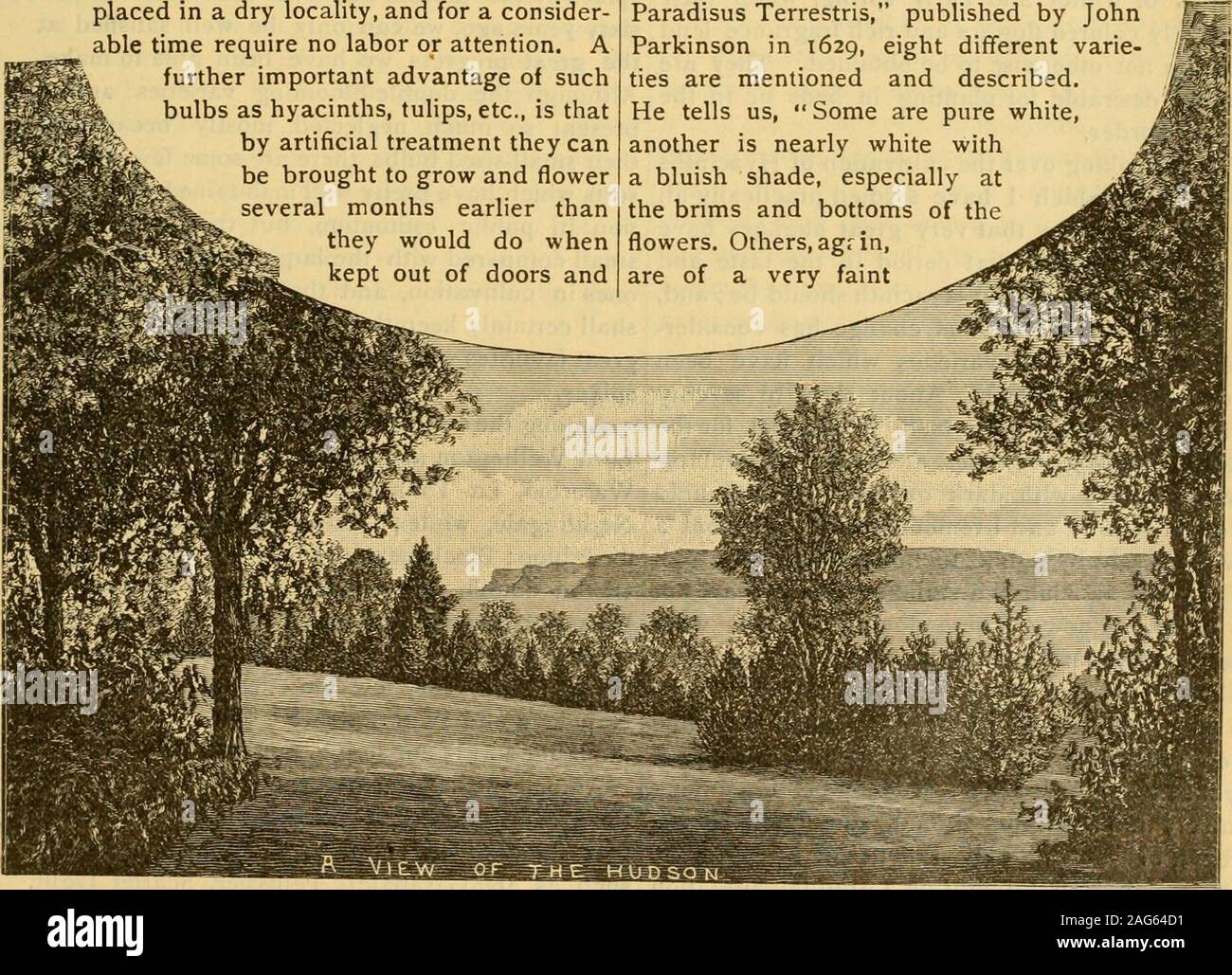 Apollo and hyacinth hi-res stock photography and images - Alamy