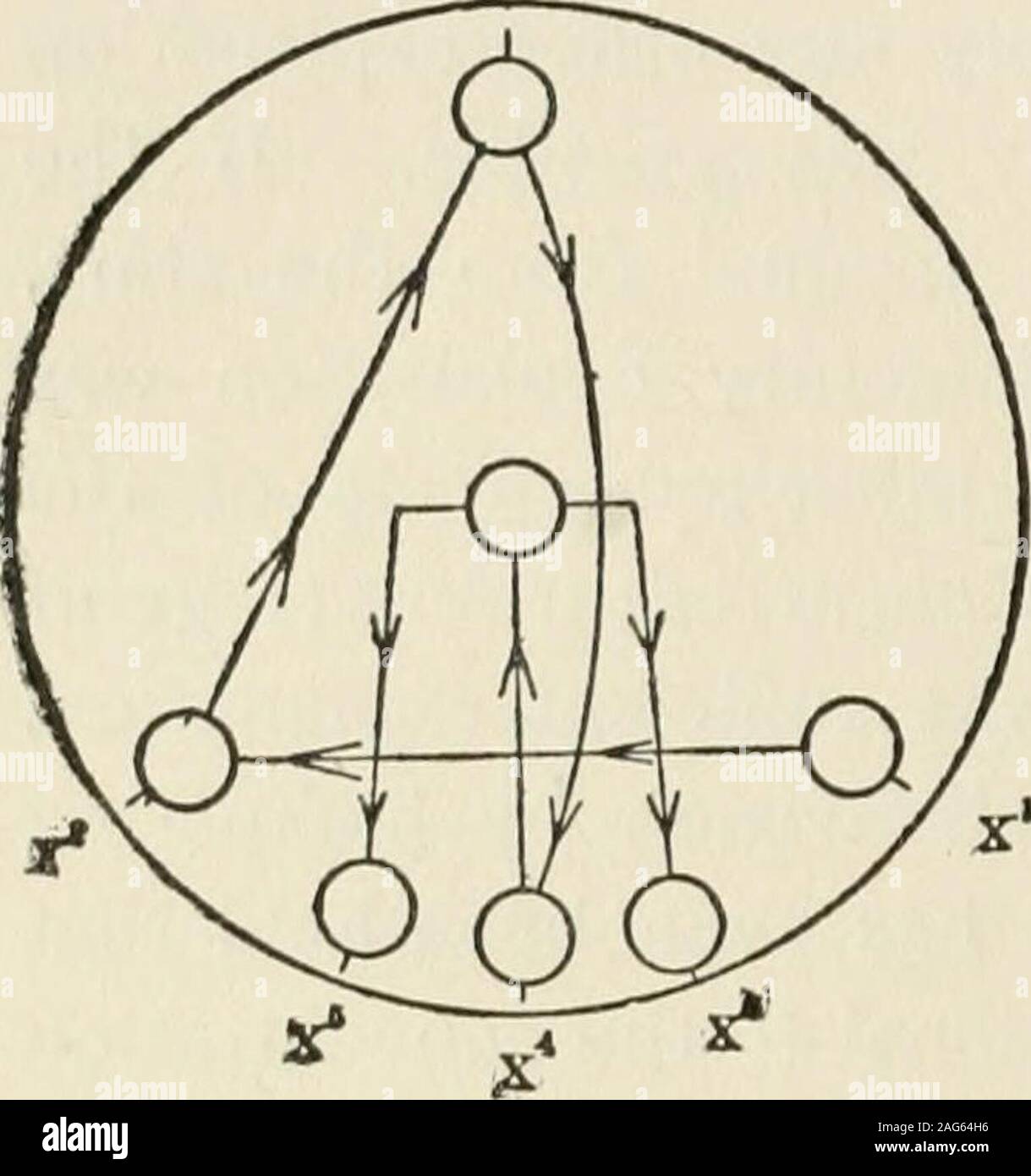 Blastomere hi-res stock photography and images - Alamy