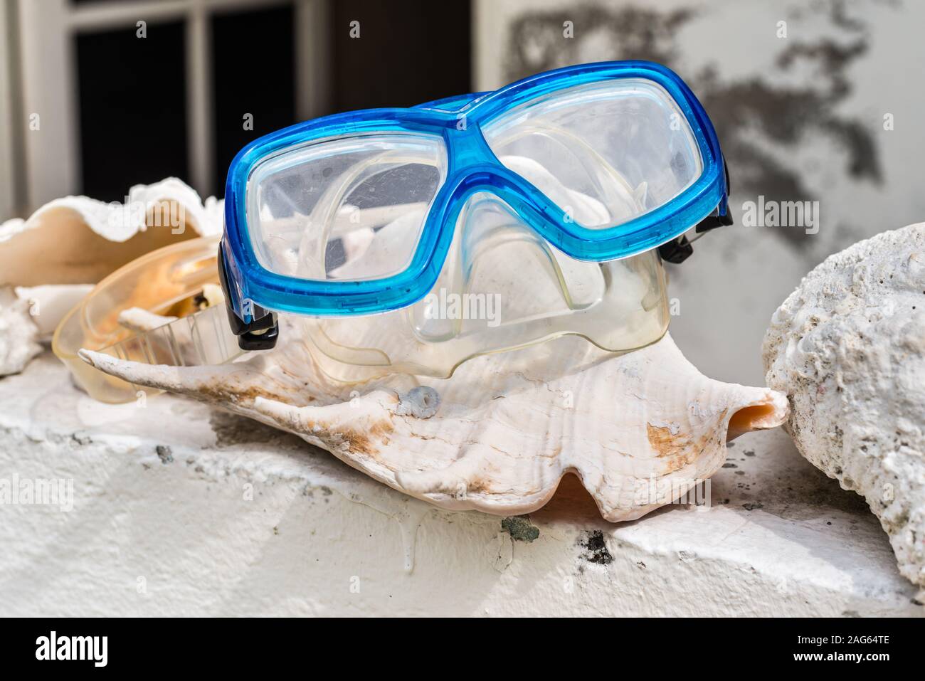 Fence underwater hi-res stock photography and images - Alamy