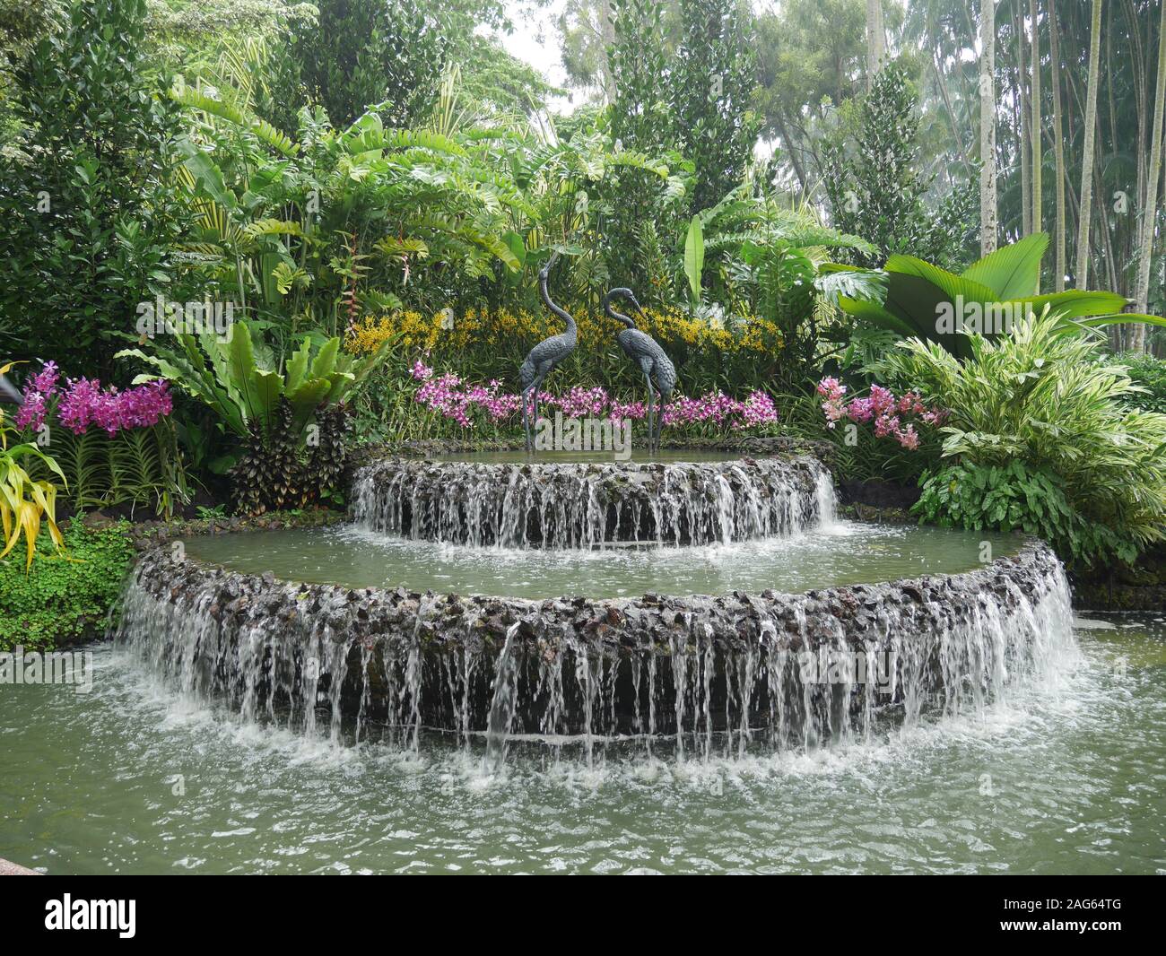 Singapore botanic garden waterfall hi-res stock photography and images ...
