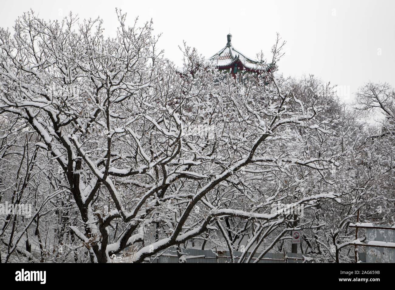 Jilin, Jilin, China. 18th Dec, 2019. Jilin, CHINA-A winter snow scene ...