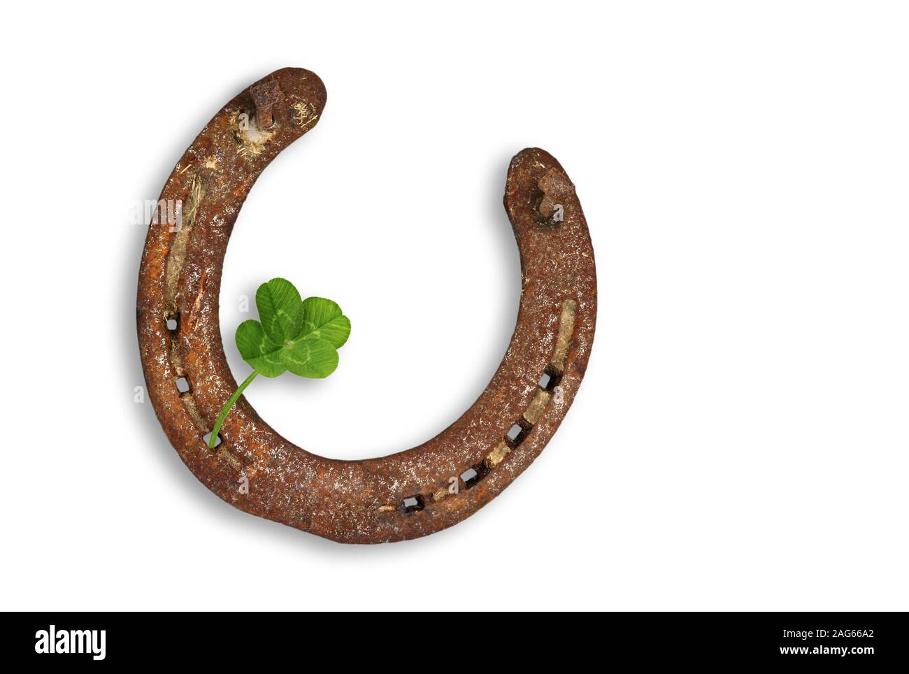 Lucky clover st patricks Cut Out Stock Images & Pictures - Alamy