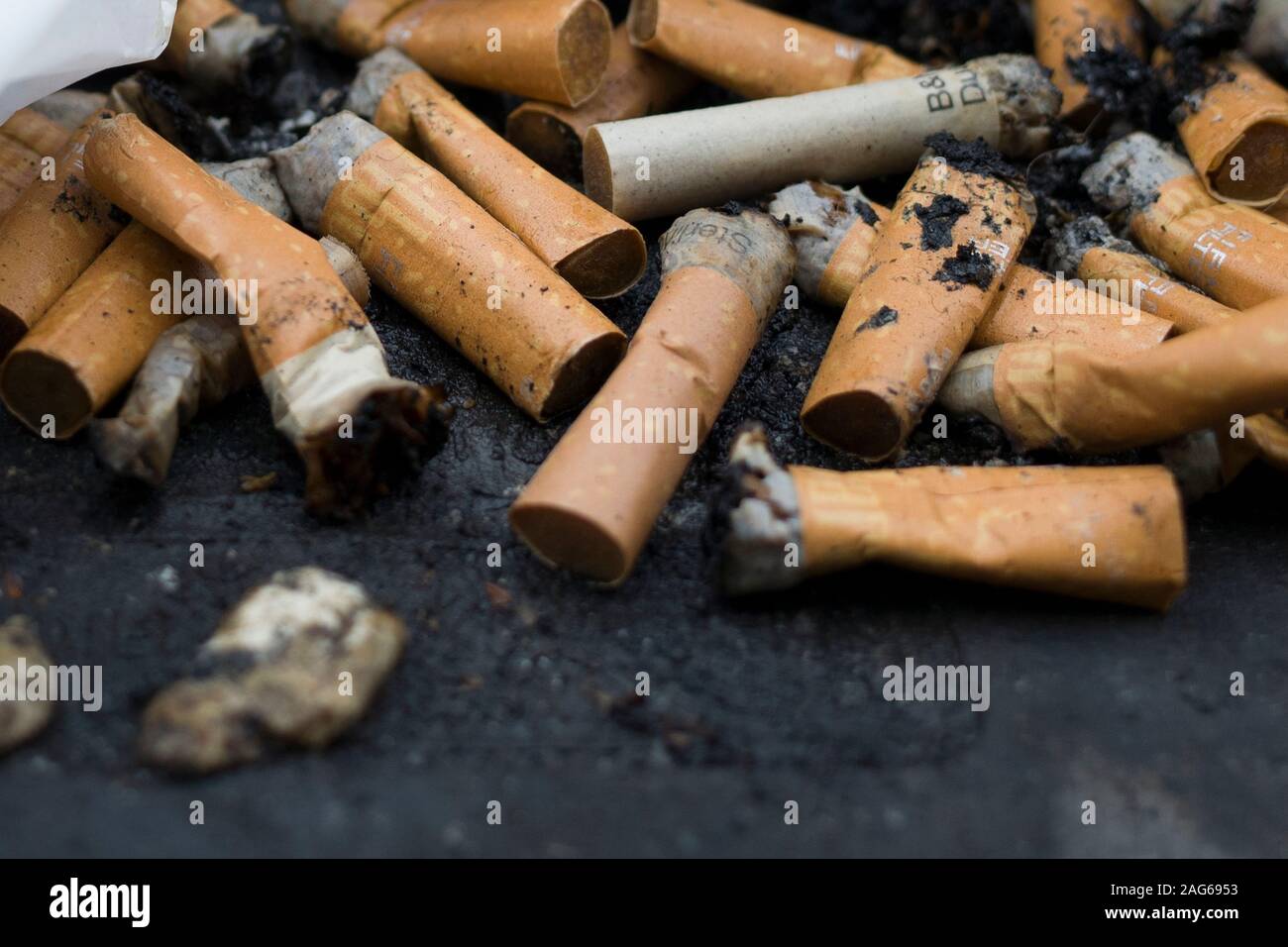 Discarded burnt cigarettes and litter on rubbish bin lid Stock Photo ...