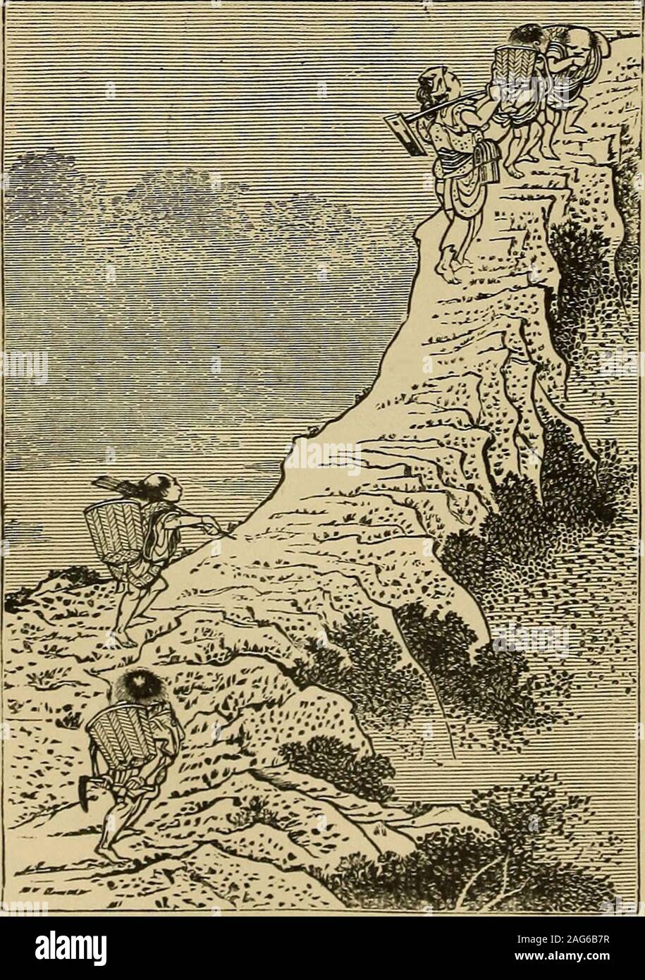 Pithecoid High Resolution Stock Photography and Images - Alamy