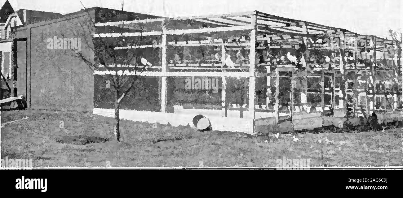 Interior nest boxes Black and White Stock Photos & Images - Alamy