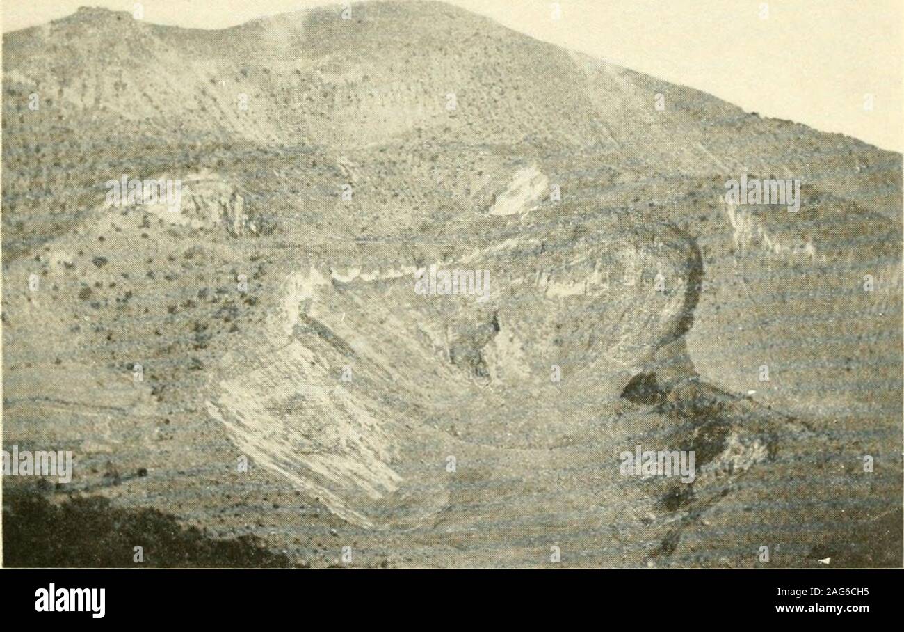 . A year of Costa Rican natural history. The Knife-edge of Irazu, from ...