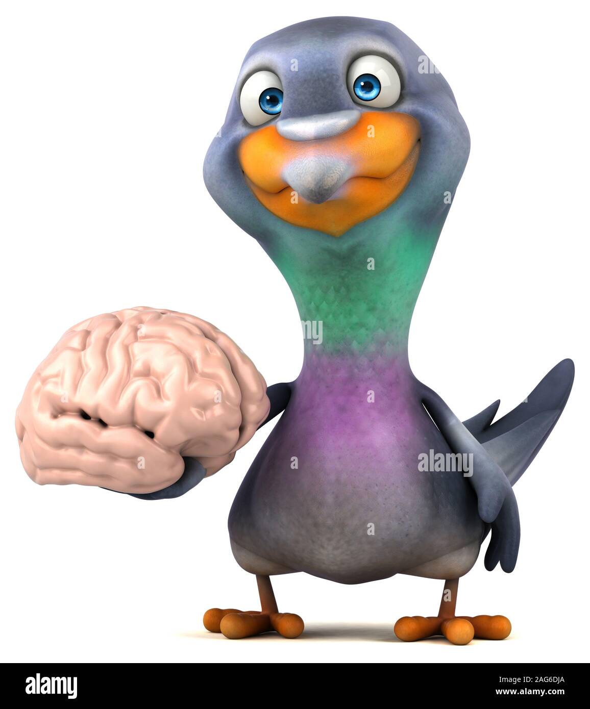 Pigeon brain Cut Out Stock Images & Pictures - Alamy