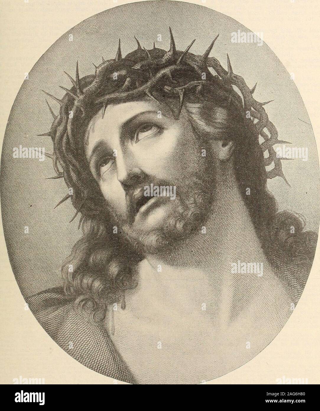 . The analytical Holy Bible : self-pronouncing, self-interpreting, self ...