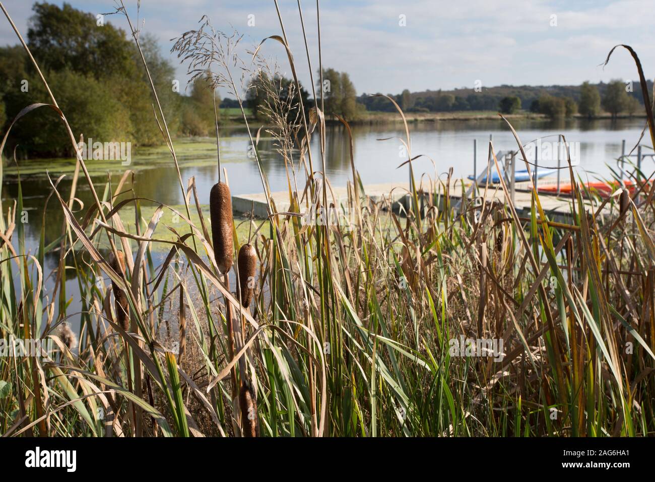 Kent lake swimming hi-res stock photography and images - Alamy