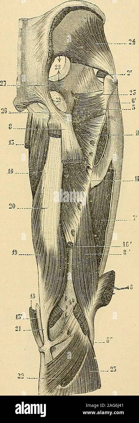 Longe pond hi-res stock photography and images - Alamy