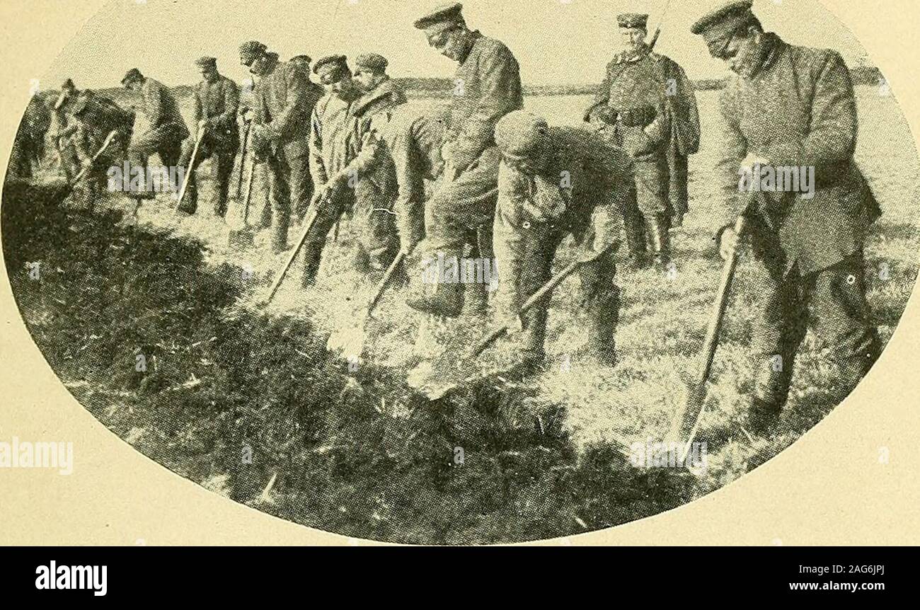 Smallpox Control High Resolution Stock Photography and Images - Alamy