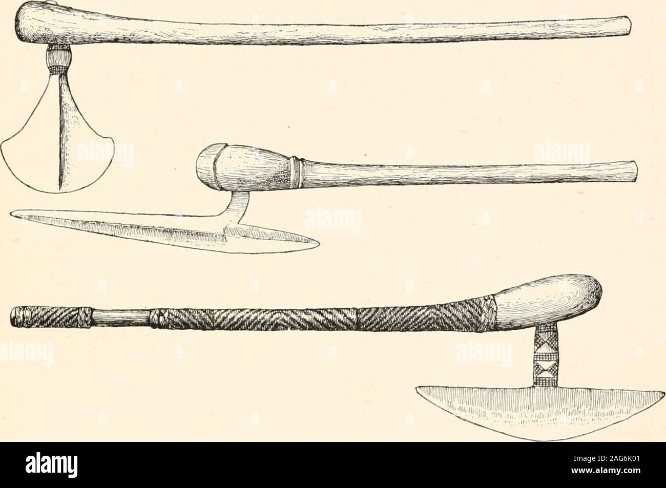 . A naturalist in the Transvaal. ARTS AND INDUSTRIES IN THE SPELONKEN ...