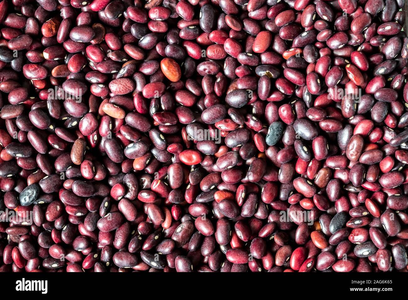 Close up Red bean seeds background. Healthy vegan food. Texture Stock ...
