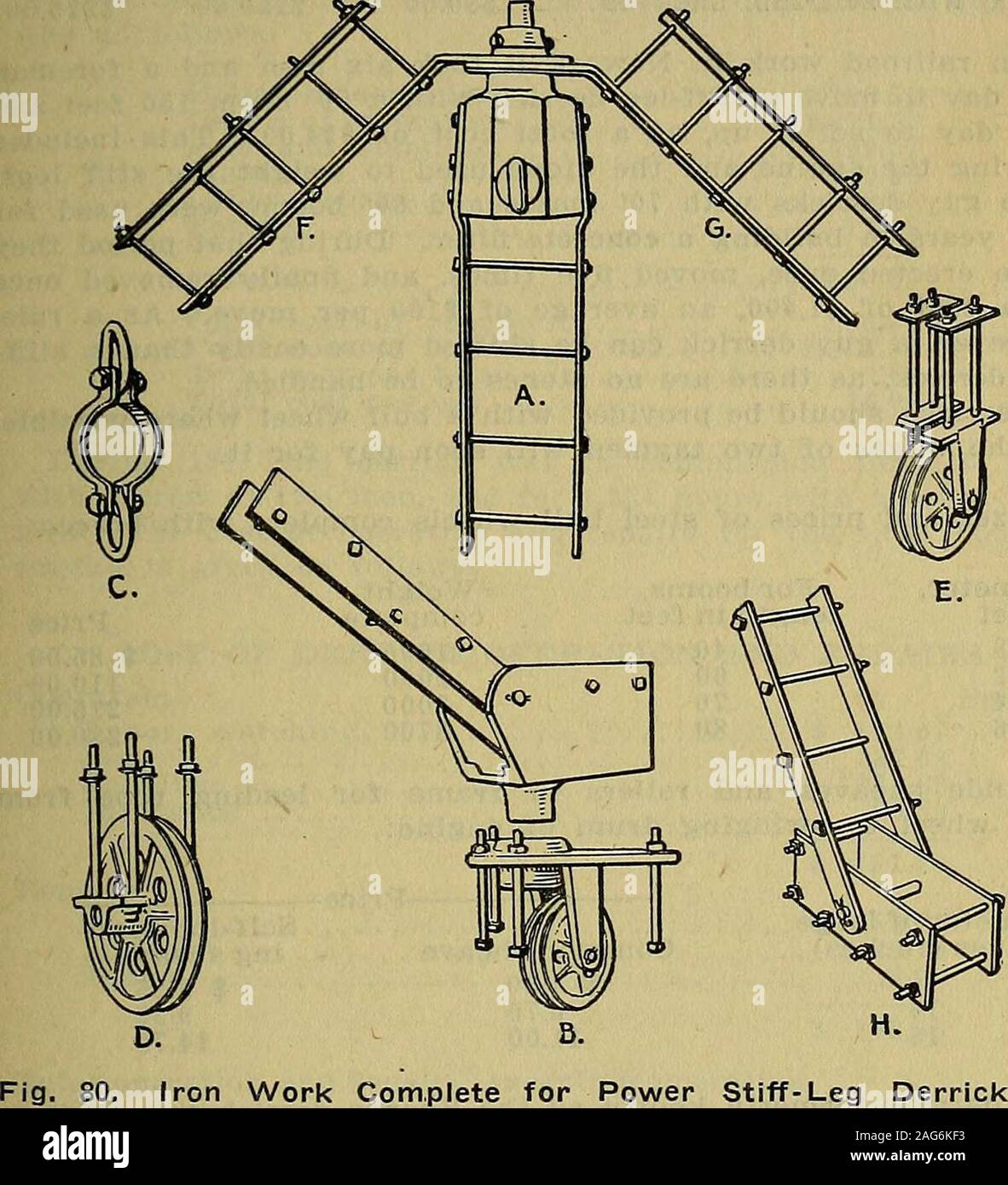 Shellbucket hi-res stock photography and images - Alamy