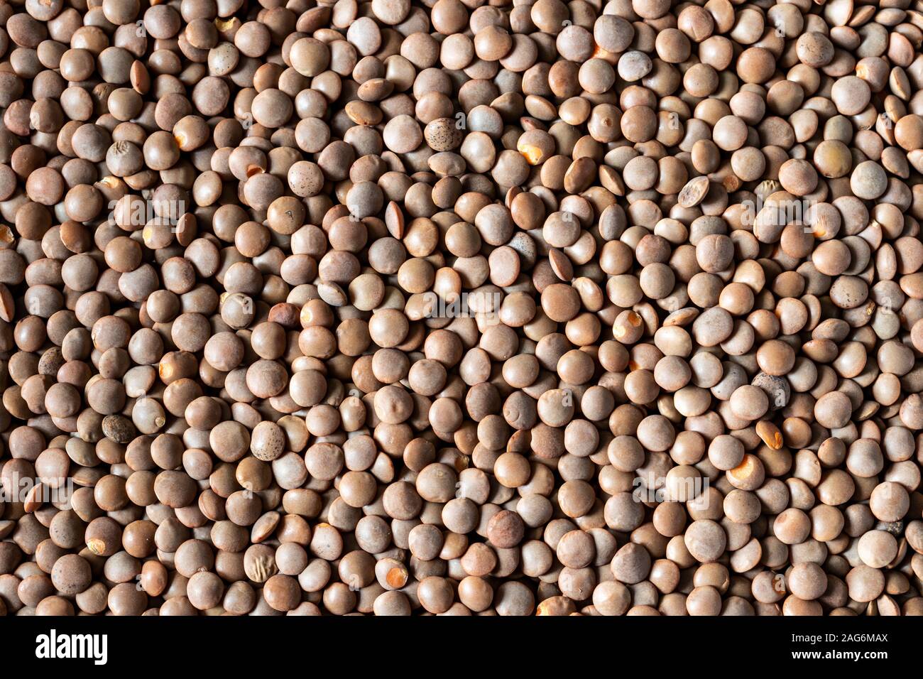 Close up brown lentil seeds background. Healthy vegeterian food ...
