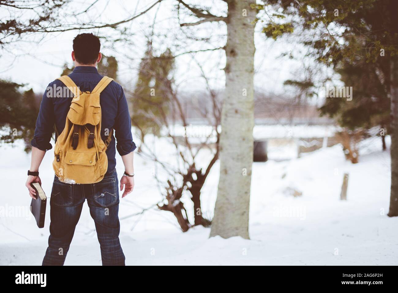 Closeup shot from behind of a male wearing a yellow backpack and ...