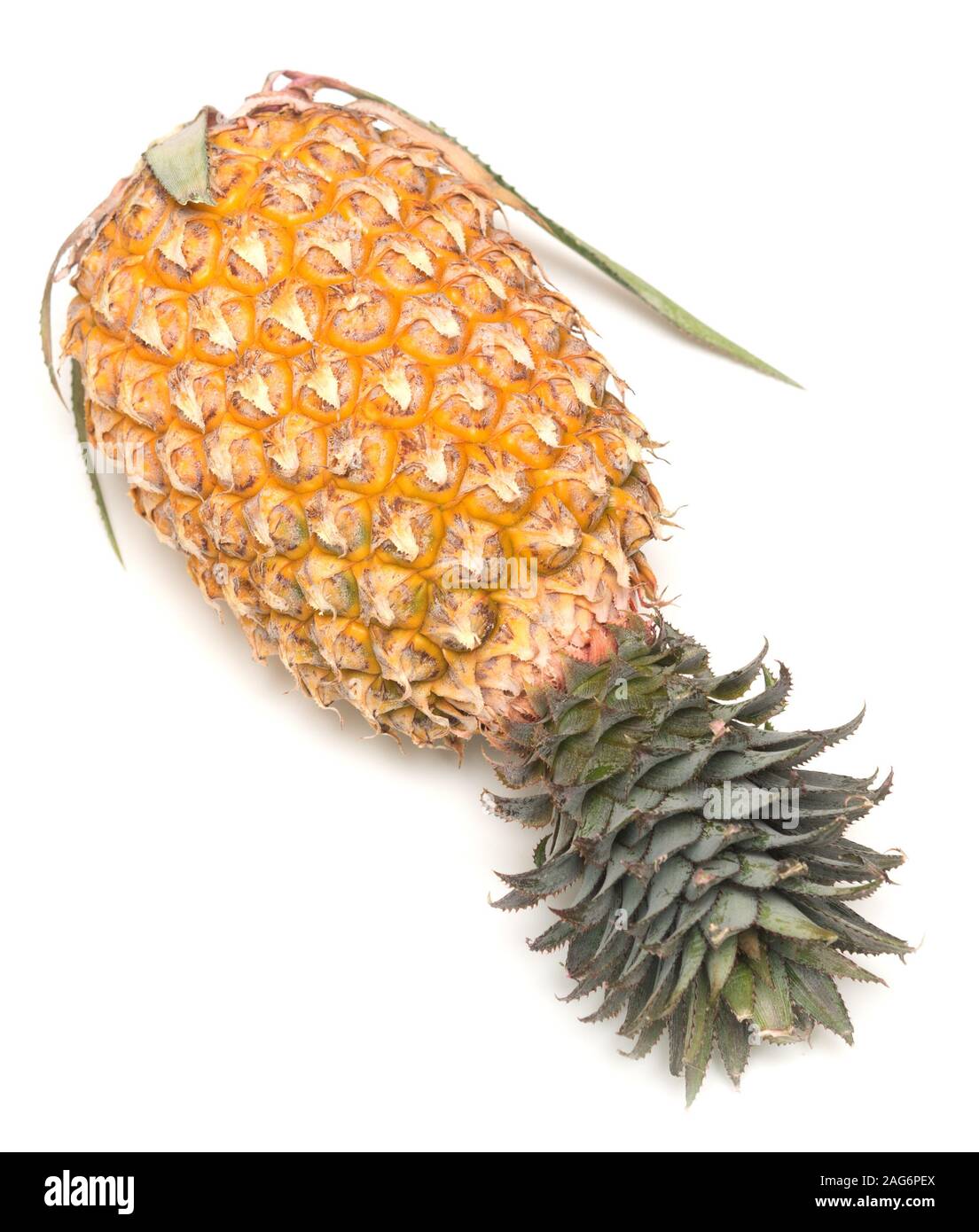Whole pineapple isolated on white background Stock Photo - Alamy