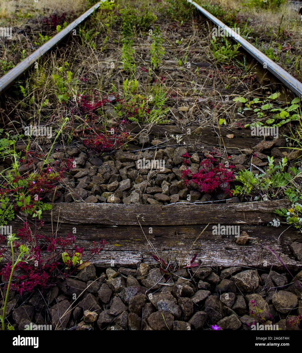 Shell road train hi-res stock photography and images - Alamy