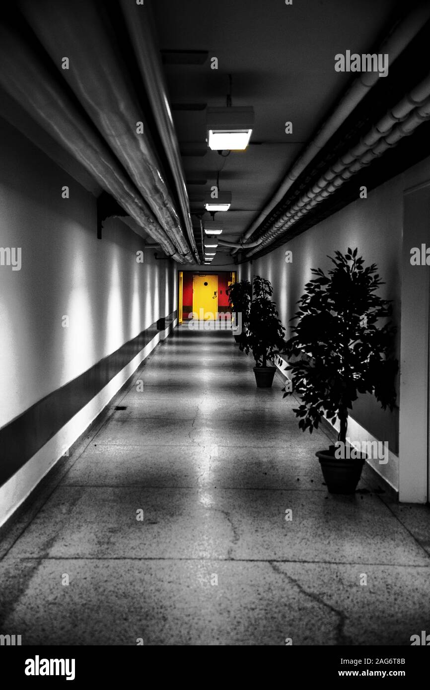 Vertical grayscale shot of a narrow hallway with lights Stock Photo - Alamy