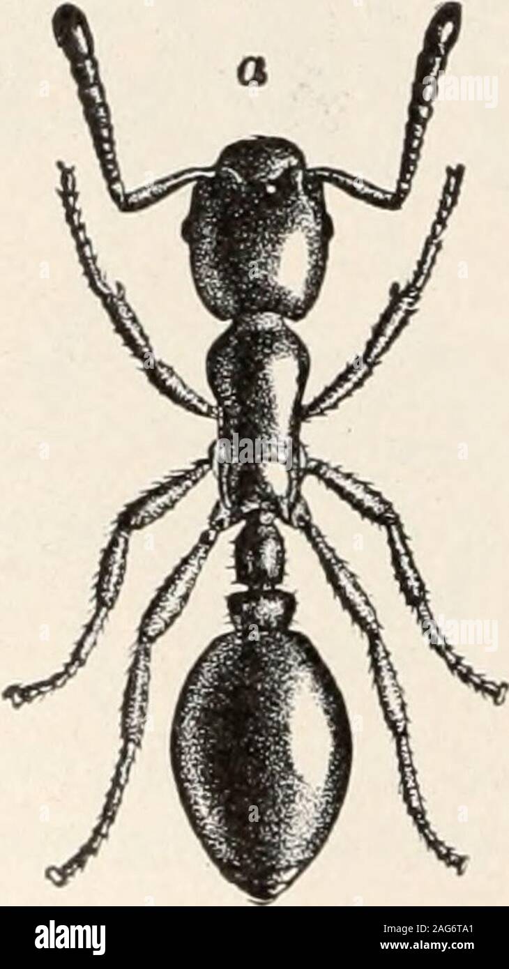 Definite guest hi-res stock photography and images - Alamy