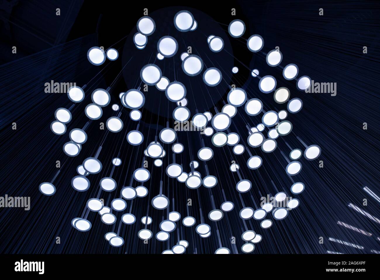 Many light bulbs that go down with their cables from the ceiling ...