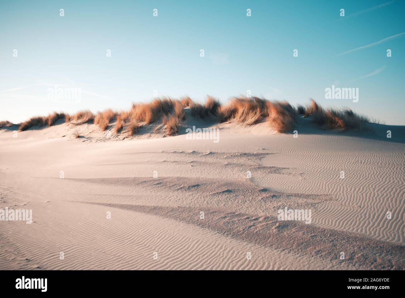 Beautiful view of the desert under the clear blue sky captured in ...