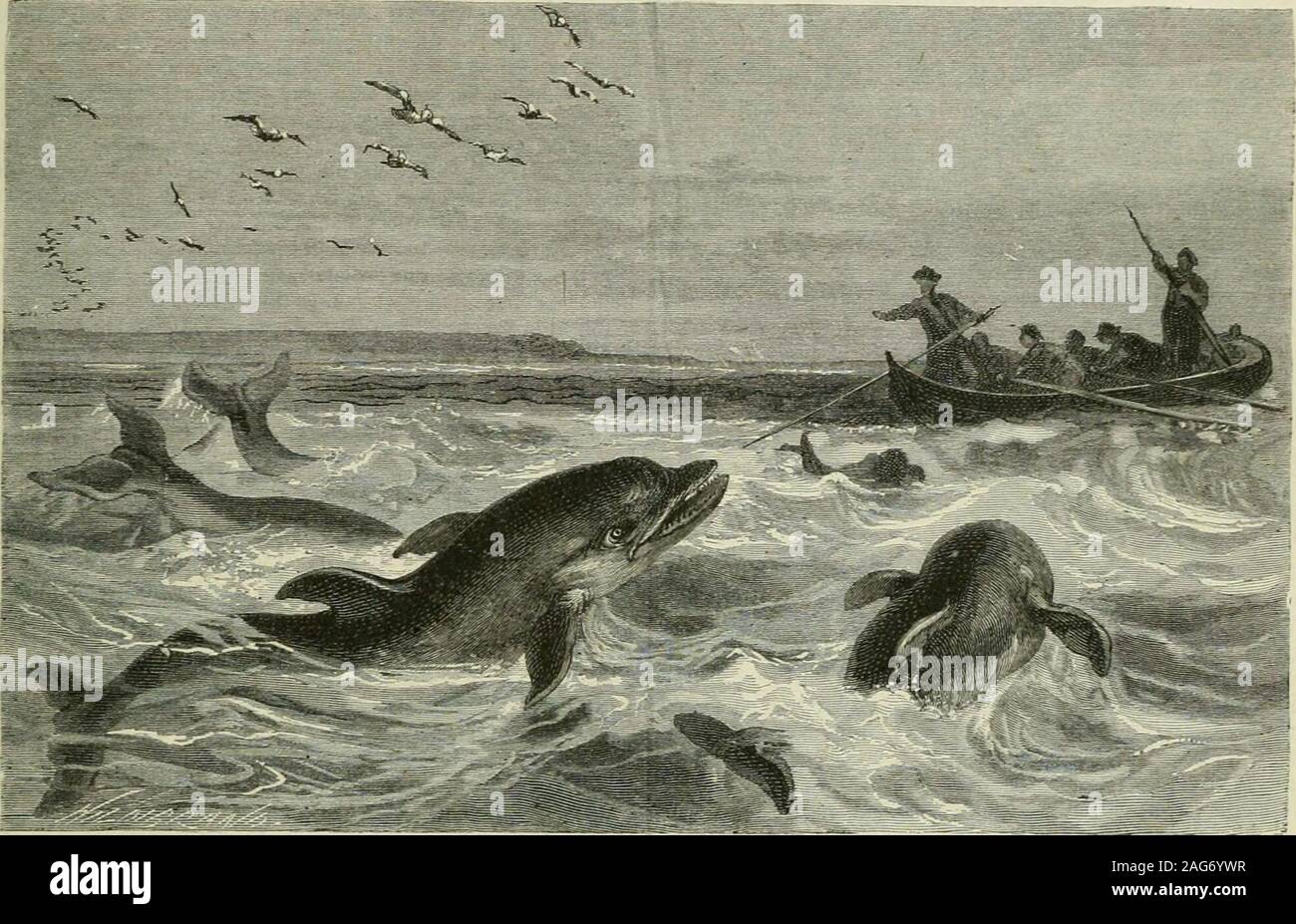 Anien hi-res stock photography and images - Alamy