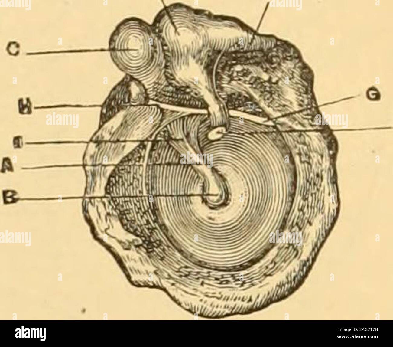 Radial range hi-res stock photography and images - Alamy