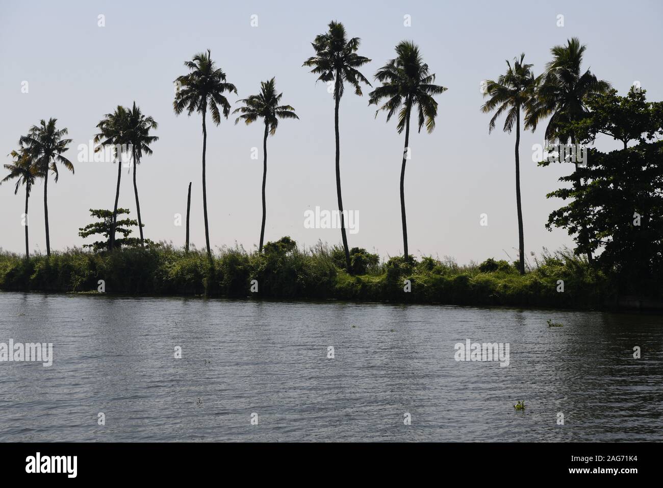 Kerala backwaters. watching the sunset over lake Vembanad in Kerala ...